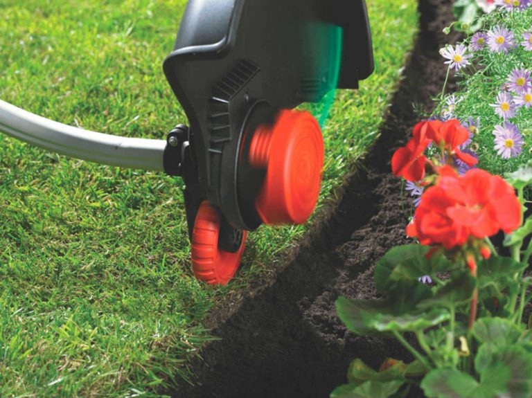 Le rotofil : un outil de jardinage important - Darwin at Home